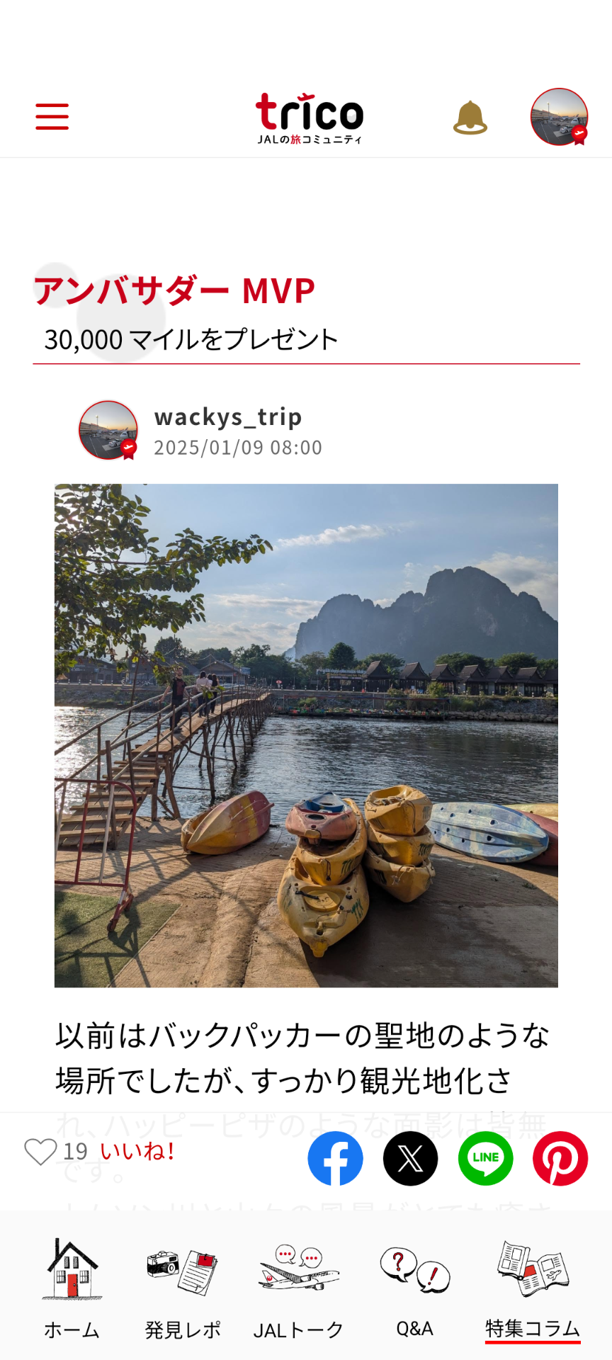 JAL trico アンバサダーMVP受賞で30,000マイル - いーとらべろぐ